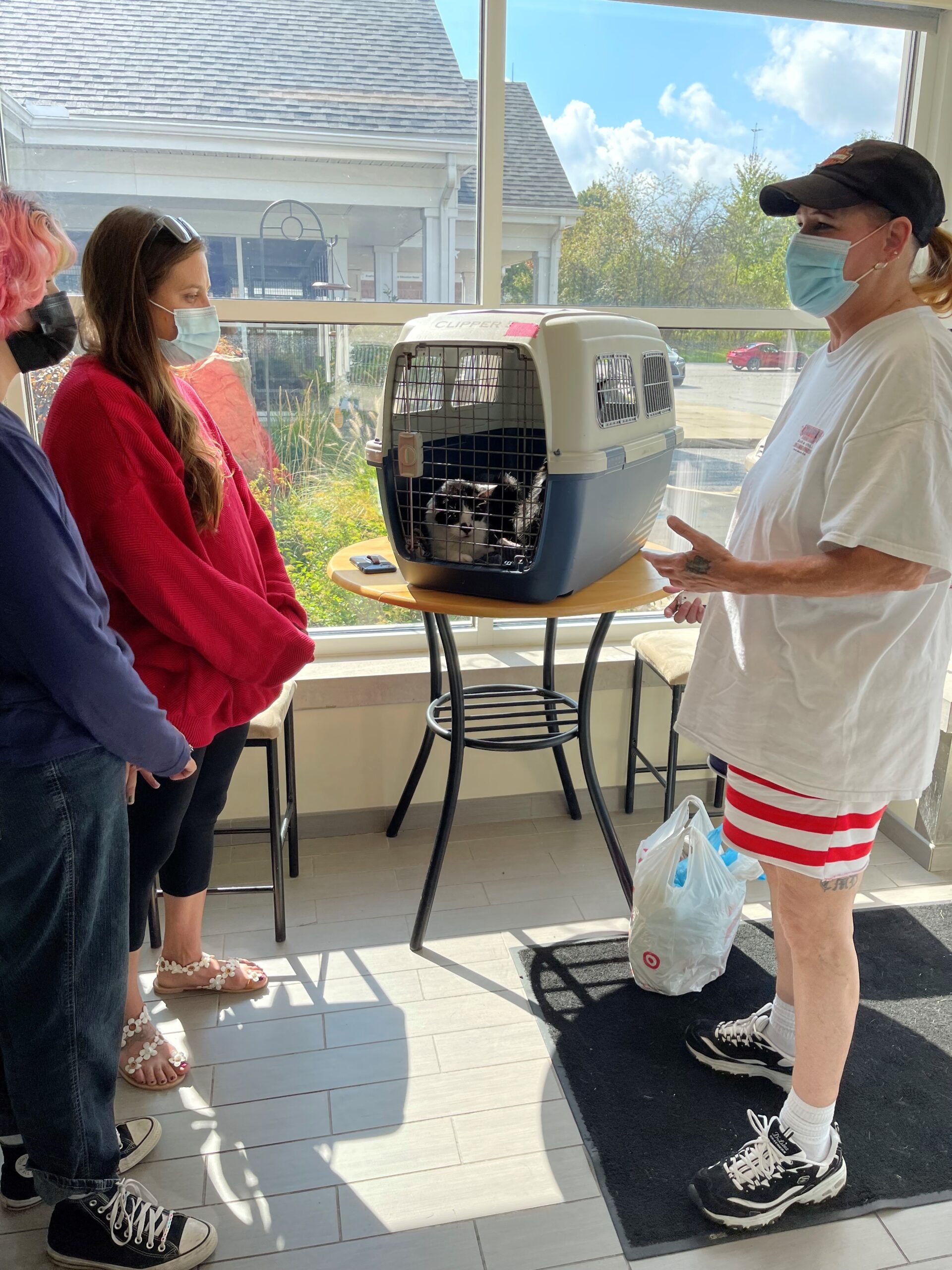 Guarding Community Pets in Need - Rescue Village