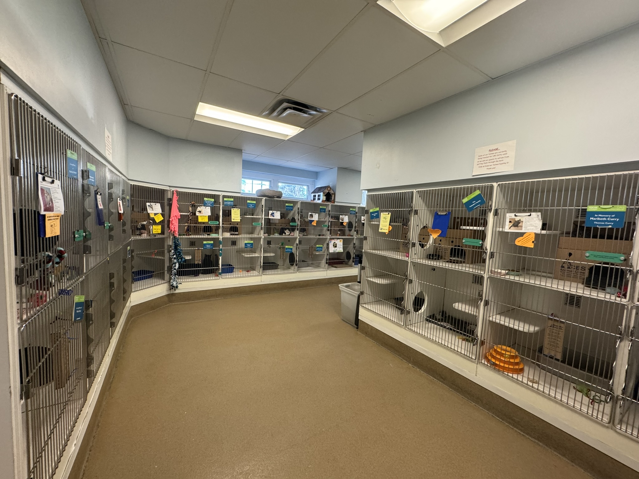 Shelter - Rescue Village