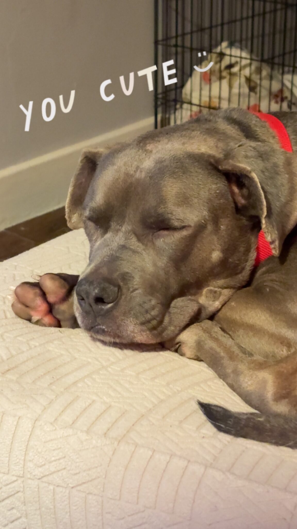 Delilah's Deliverance - Rescue Village