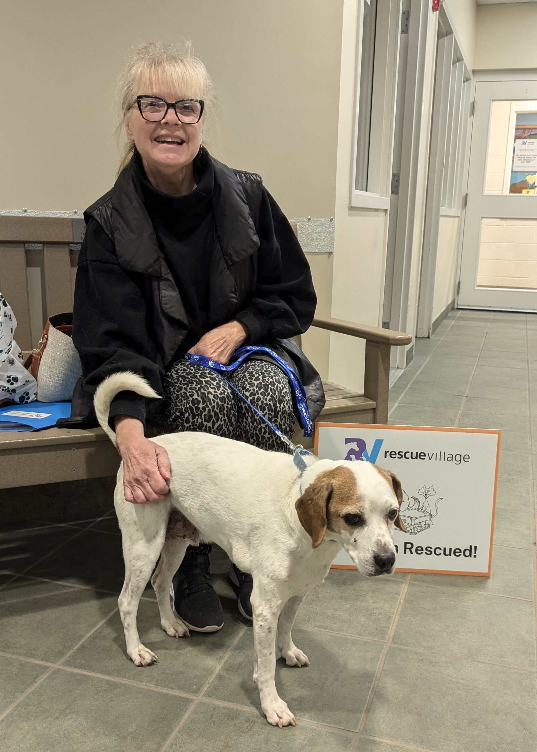 Adoption Gallery - Rescue Village