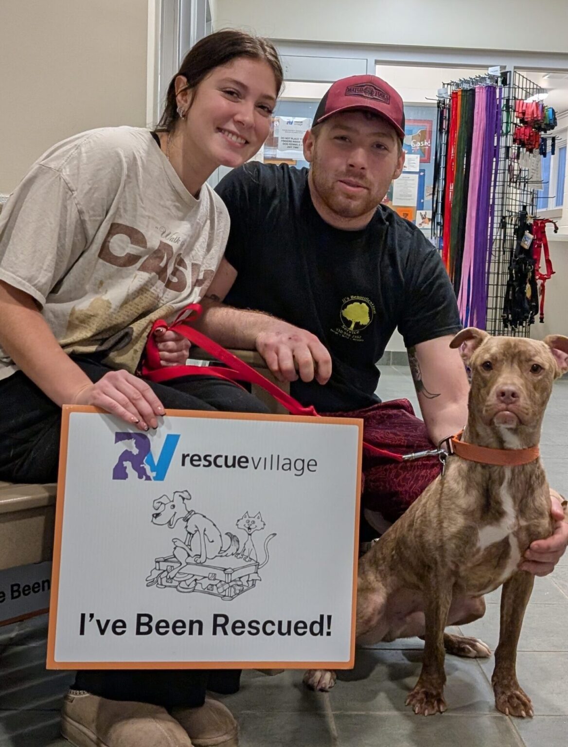 Petco Love Invests to Save and Improve the Lives of Pets Like Bisquick ...